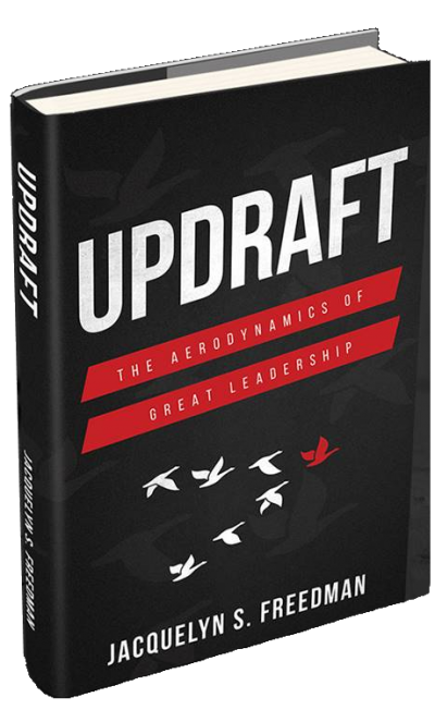 Updraft the Book - Delta V Strategies